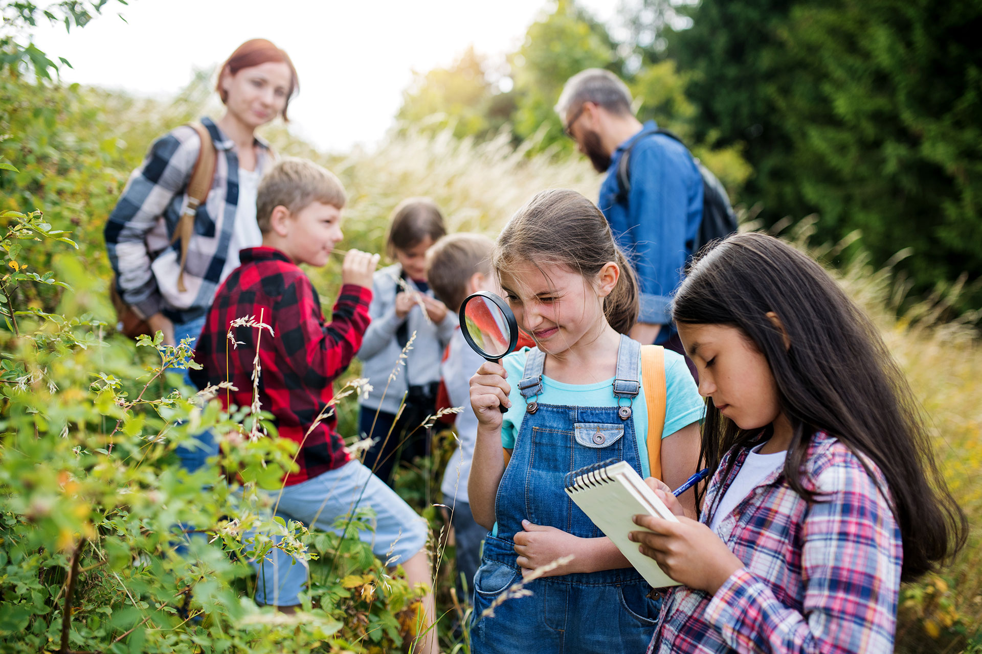 Middle Primary - My Science Club