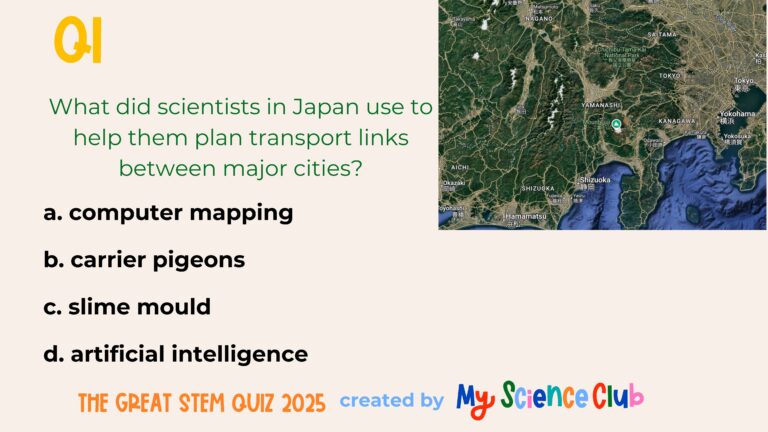 The Great (My Science Club) STEM Quiz 2025! - My Science Club
